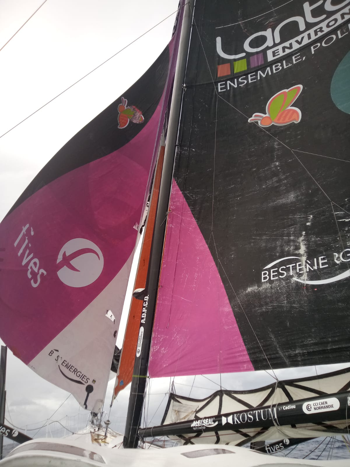 Actualités - Lantana Environnement